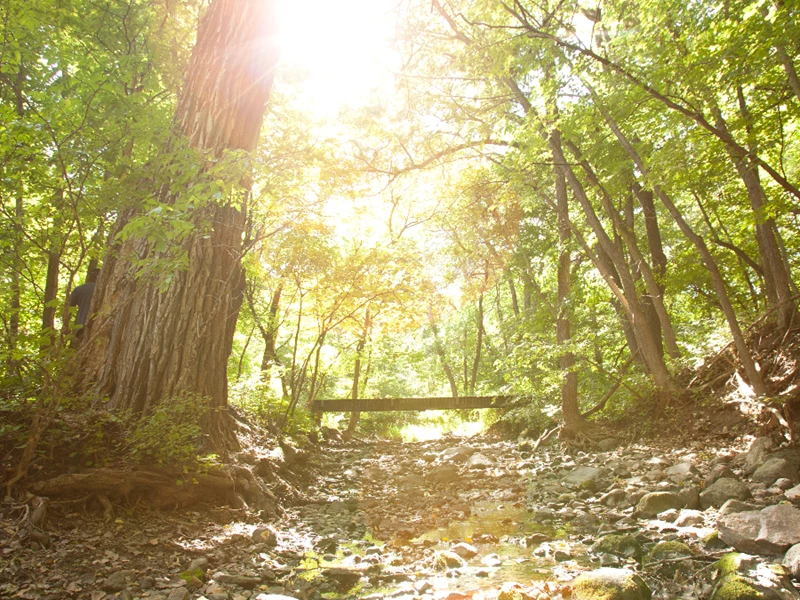 Estherville, Iowa | Lakes and Land Region | Travel Iowa