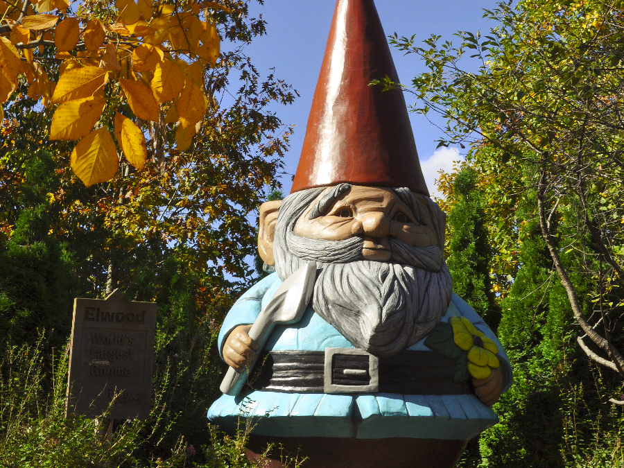 Reiman Gardens Gnome | Fasci Garden
