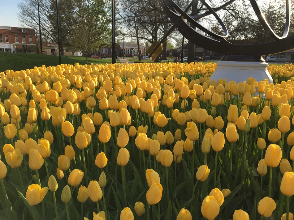 Pella's Annual Tulip Time Festival 5/7/2026 - 5/9/2026 | Pella, Iowa ...