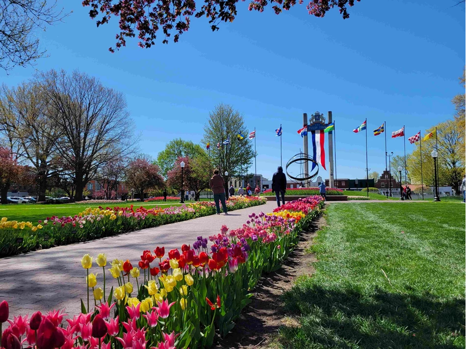 Tulip Time | Pella, Iowa | Travel Iowa