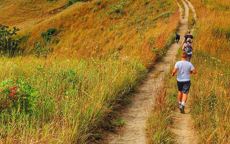 Travel Iowa: Tourism Map, Travel Guide, Things to Do, Iowa State Parks