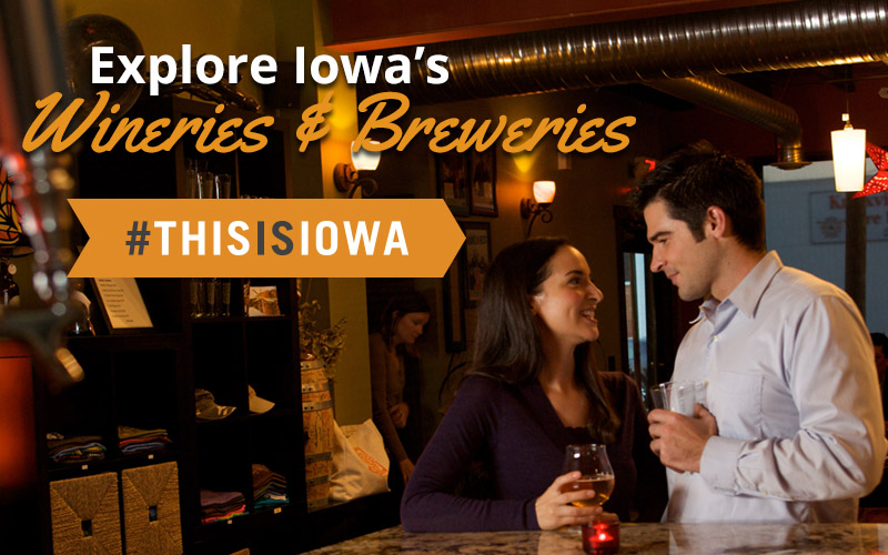 Travel Iowa: Tourism Map, Travel Guide, Things to Do, Iowa State Parks