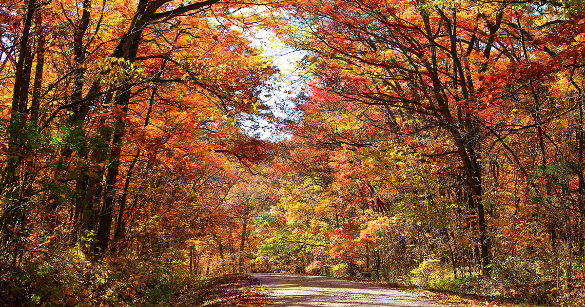 The Best Fall Drives in Iowa's Driftless Area
