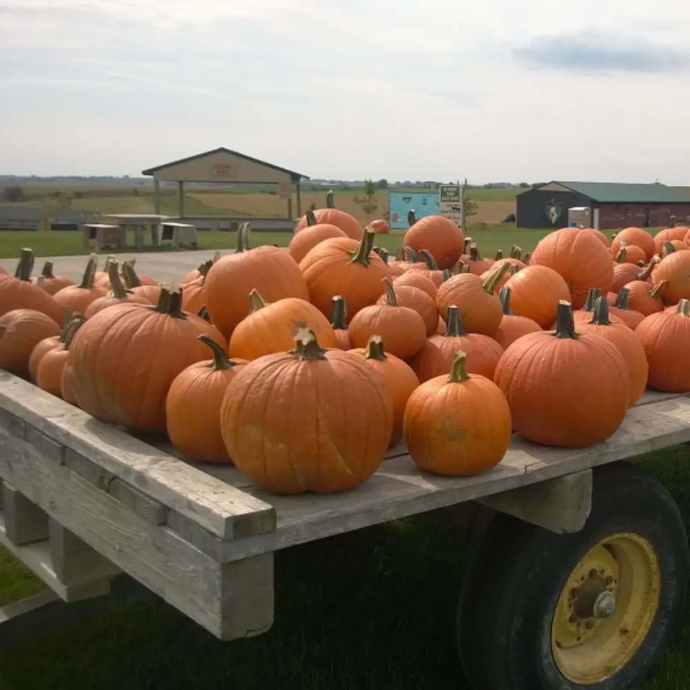 Agritourism | Travel Iowa