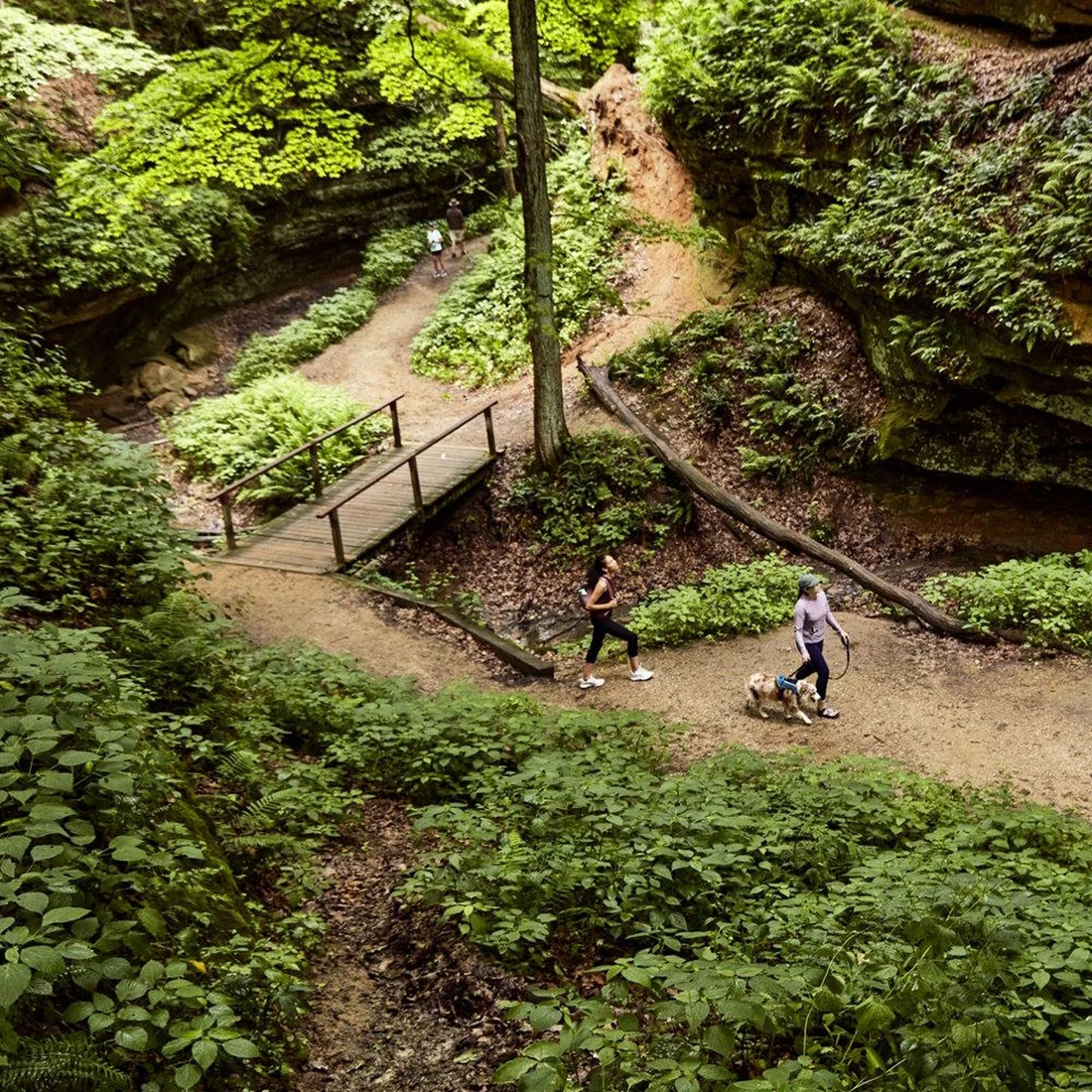 Find Outdoor Adventures Across Iowa | Travel Iowa