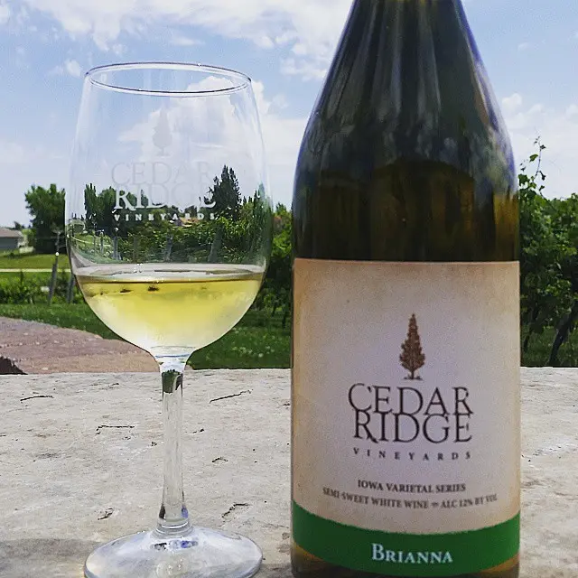 Explore Iowa Wineries with Fall Views | Iowa Wineries| Travel Iowa