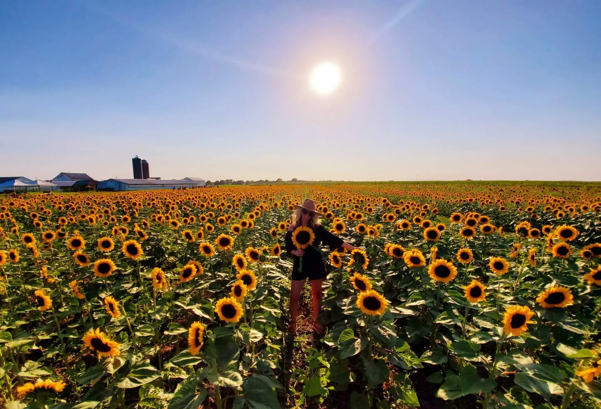 The Best of Iowa's Flower Farms