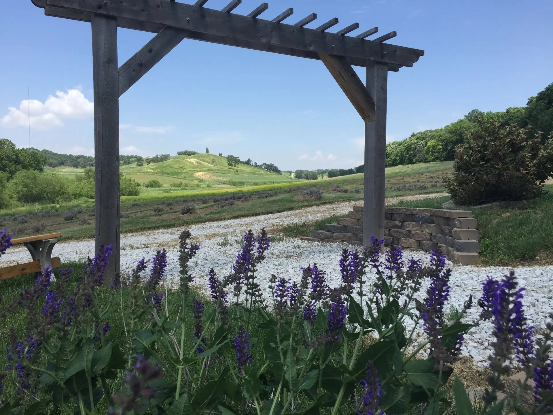 The Best of Iowa's Flower Farms