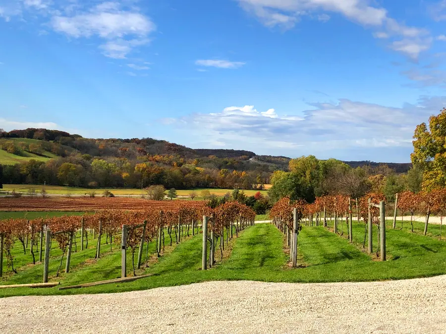 Explore Iowa Wineries with Fall Views | Iowa Wineries| Travel Iowa