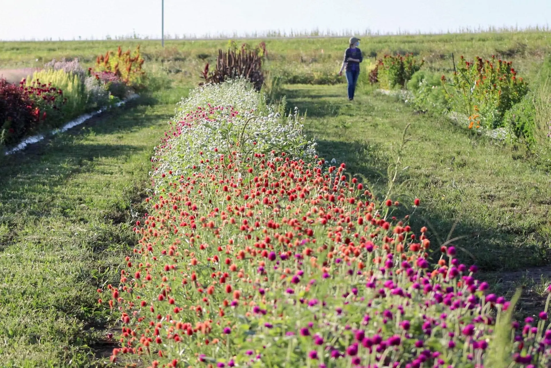 The Best of Iowa's Flower Farms