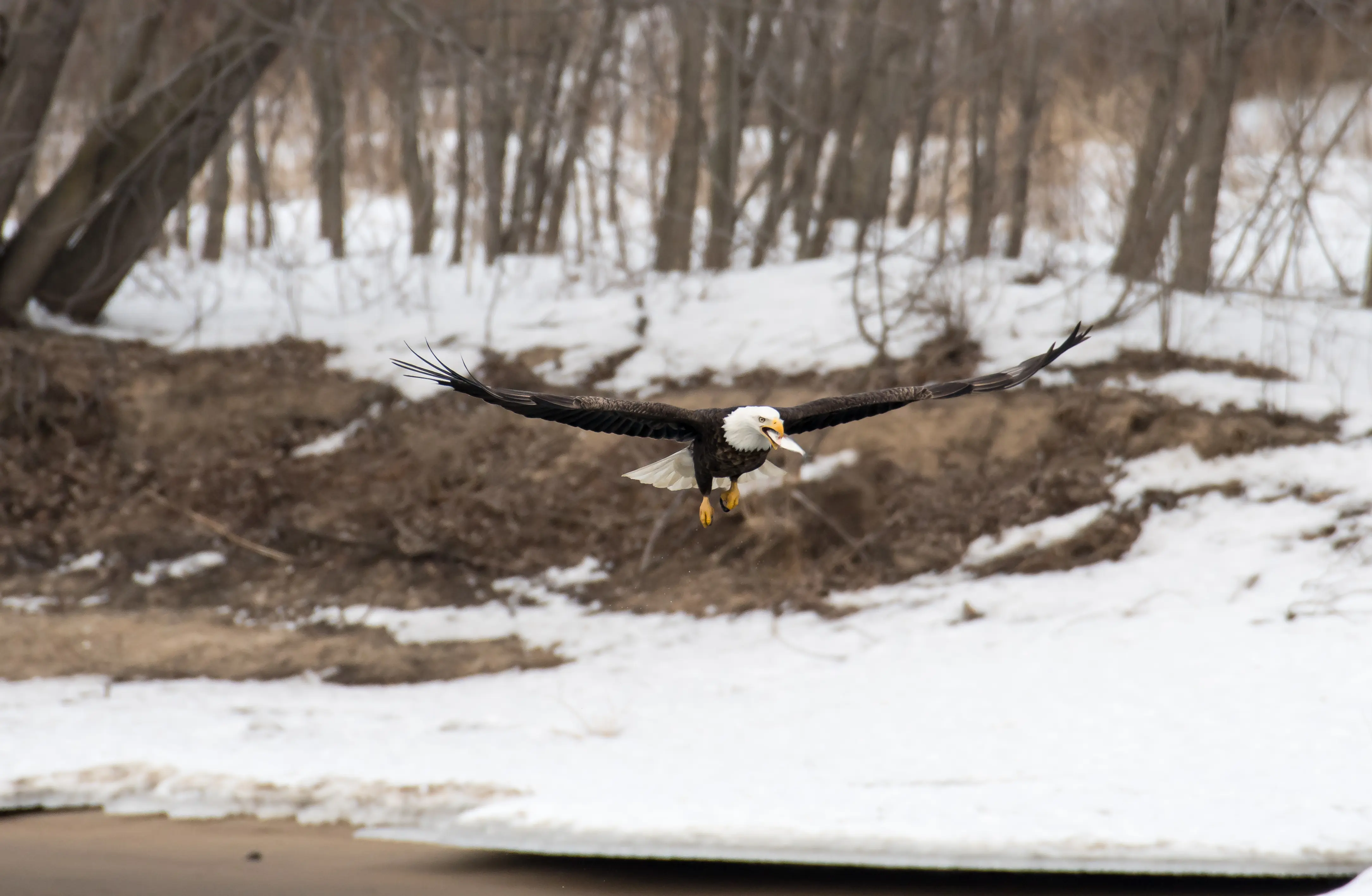Winter Wonders Around Ottumwa