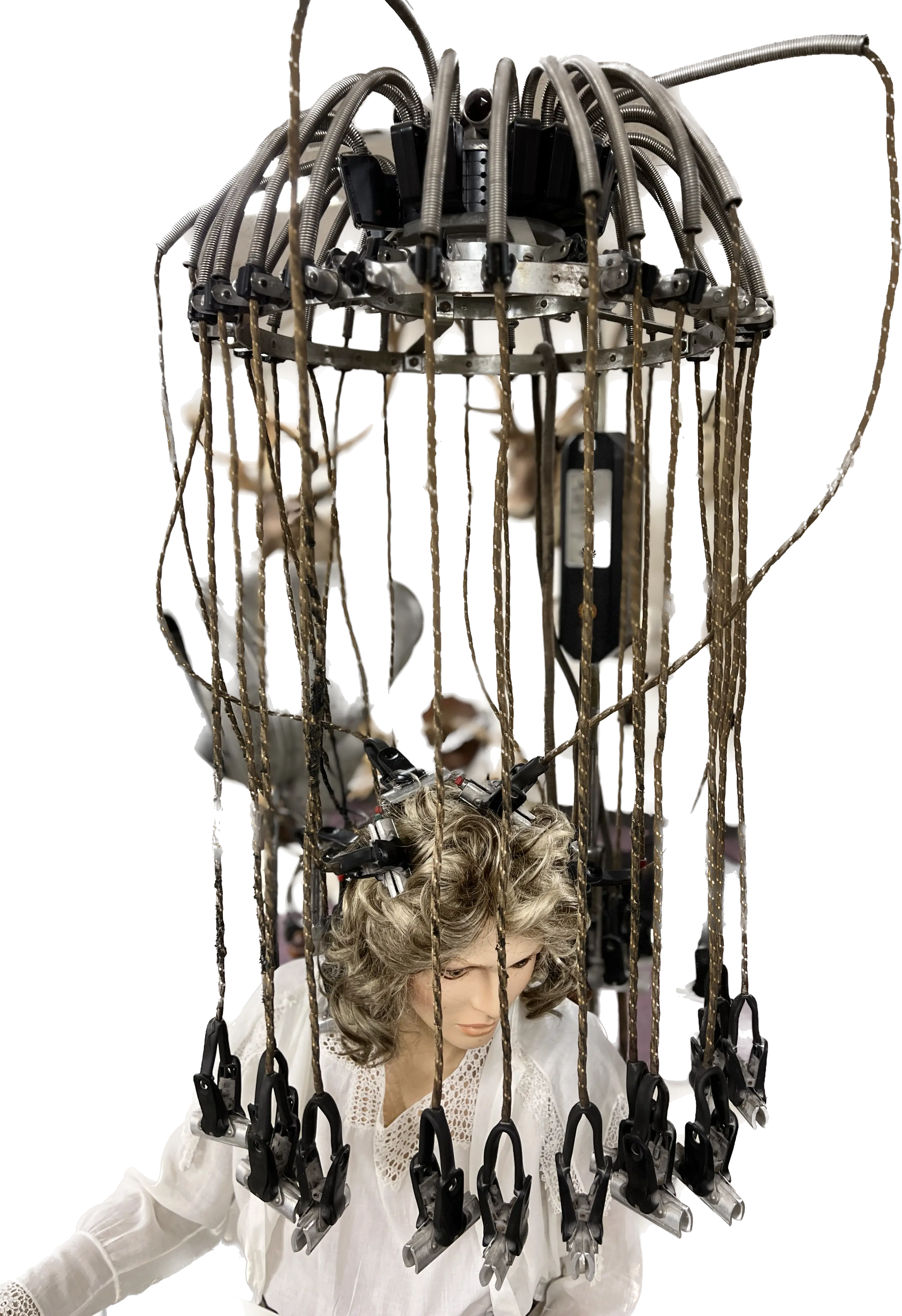 Quirky Artifacts in Iowa's Museums