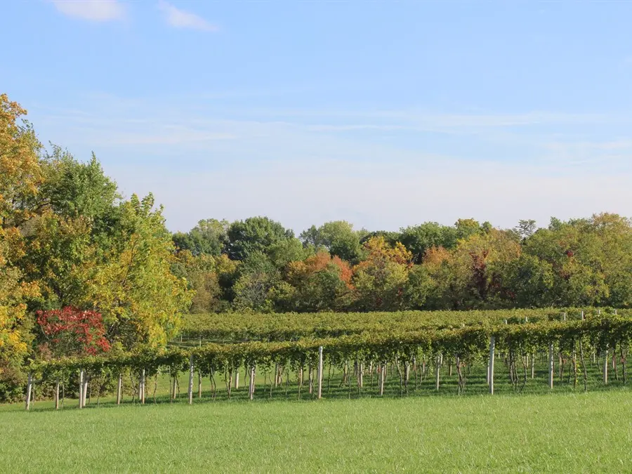 Explore Iowa Wineries with Fall Views | Iowa Wineries| Travel Iowa
