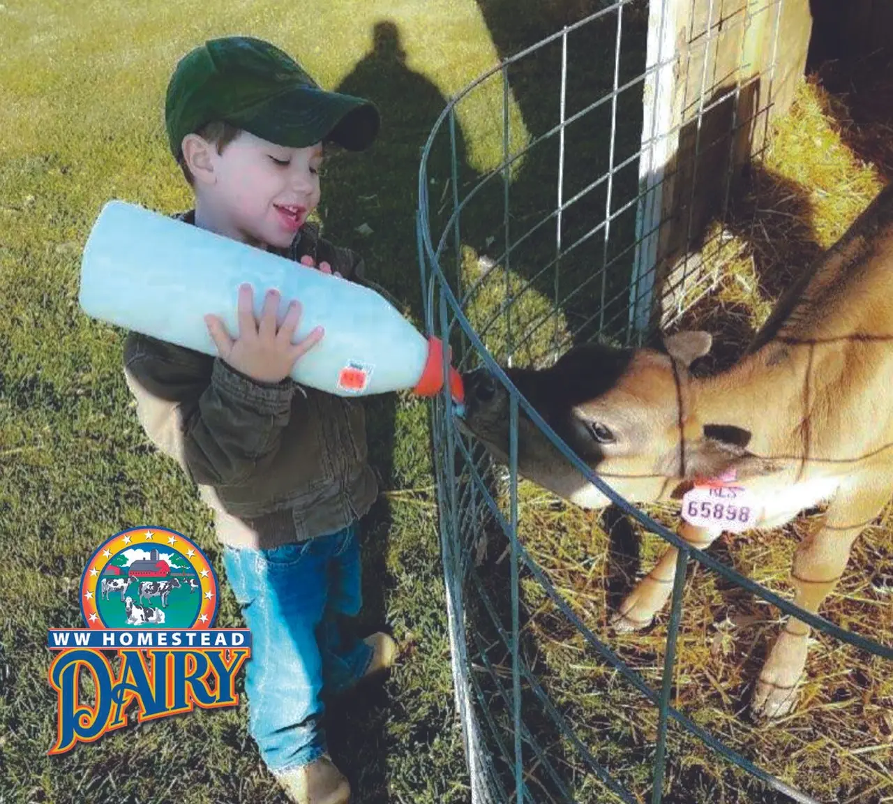 Top 10 Things to Do Along the Driftless Area Scenic Byway in Allamakee ...