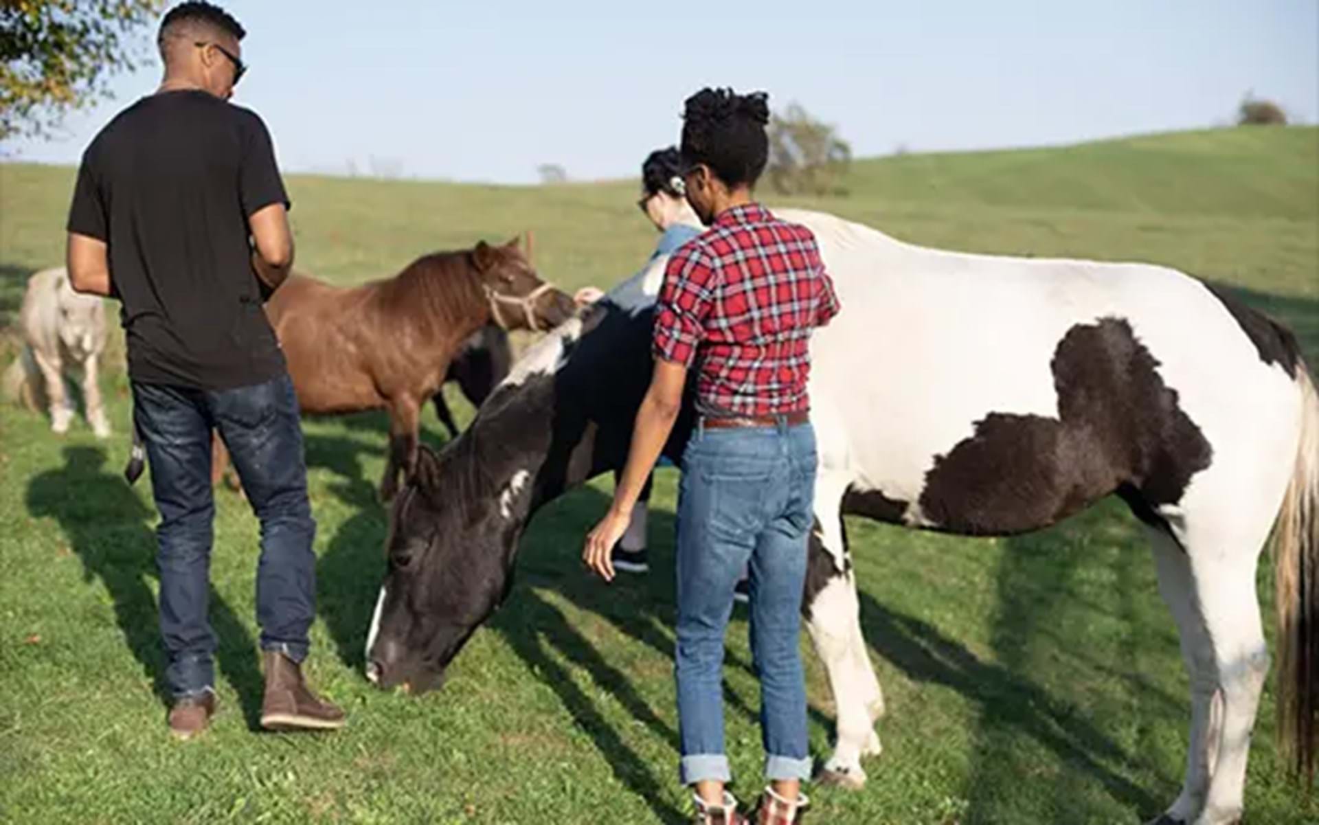 Travel Iowa | Official Iowa Tourism and Travel Website