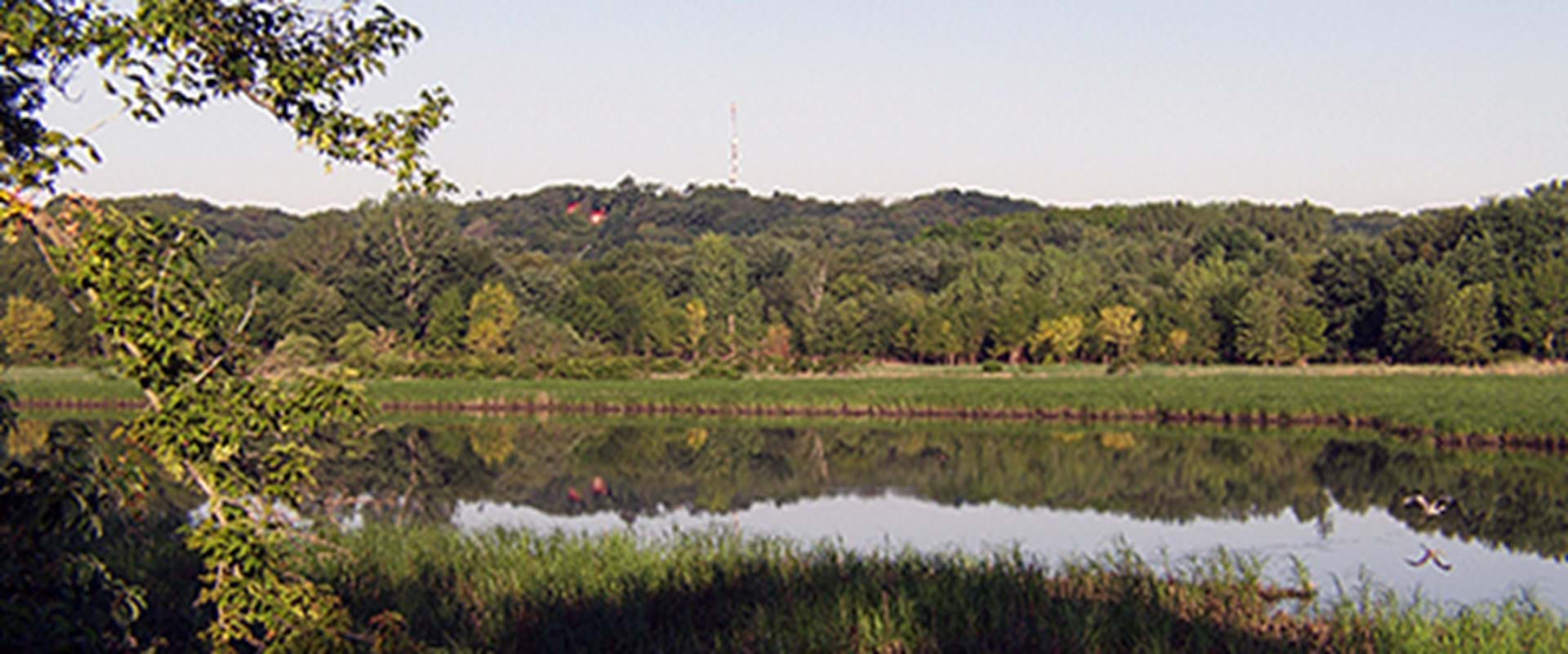 Nahant Marsh | Davenport, Iowa | Travel Iowa