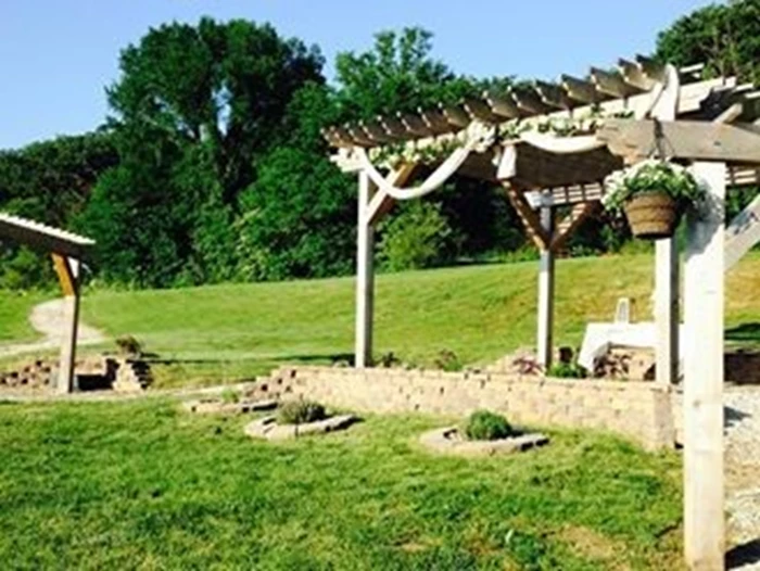 Loess Hills Lavender Farm | Missouri Valley, Iowa | Travel Iowa