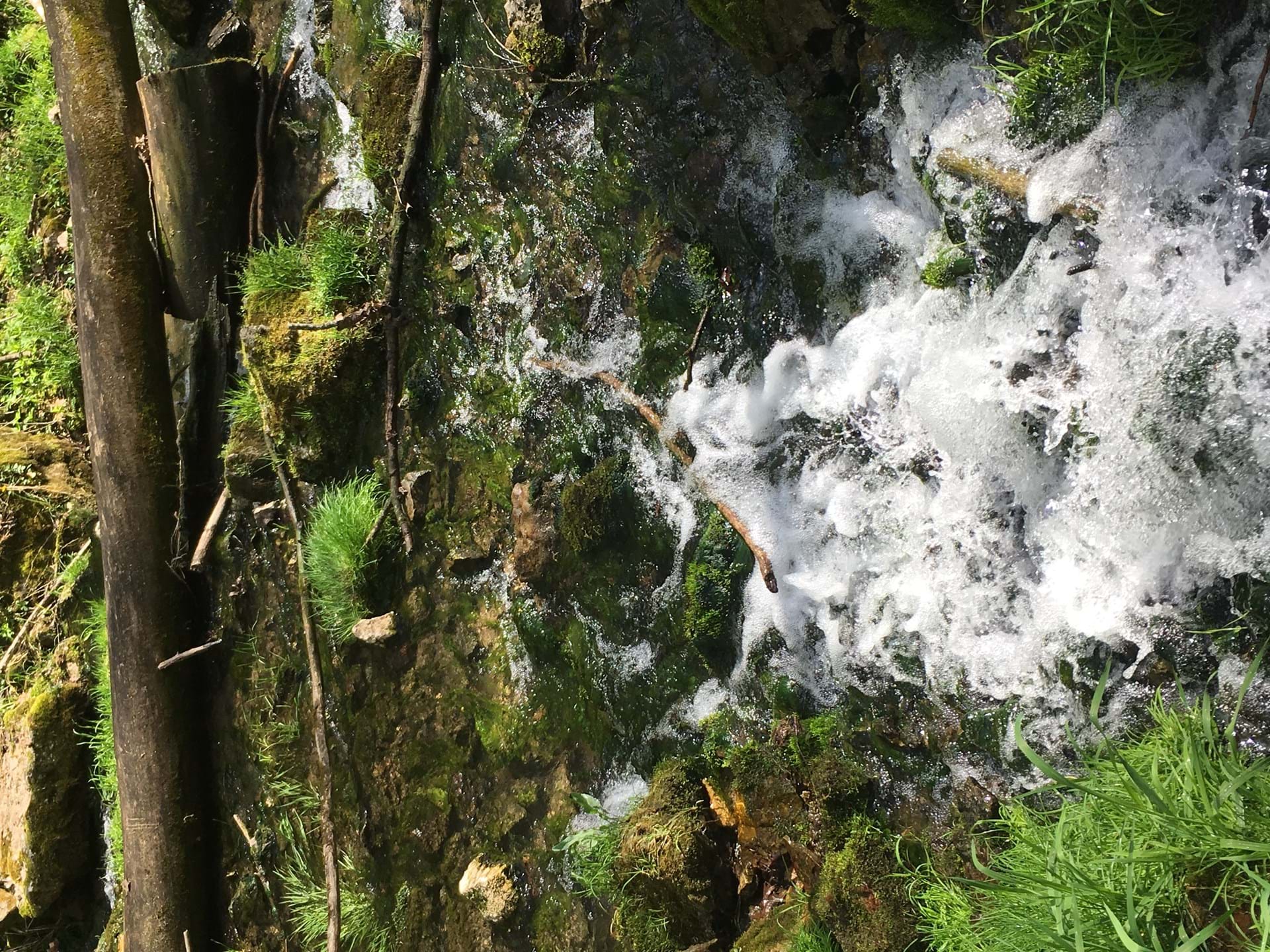 Dutton's Cave Park | West Union, Iowa | Travel Iowa