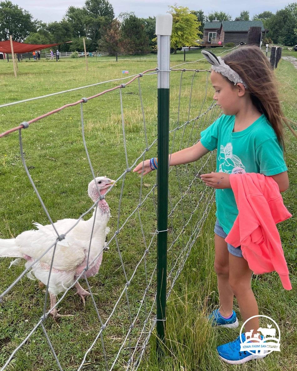 Iowa Farm Sanctuary | Oxford, Iowa | Travel Iowa
