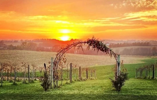 Walker Homestead Farm & Winery | Iowa City, Iowa | Travel Iowa