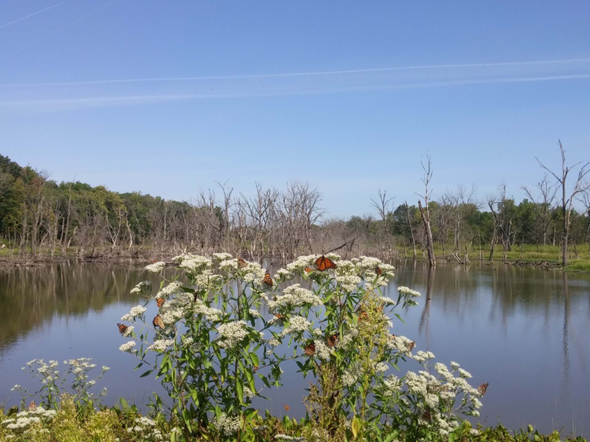 Sand's Timber Recreation Area | Blockton, Iowa | Travel Iowa