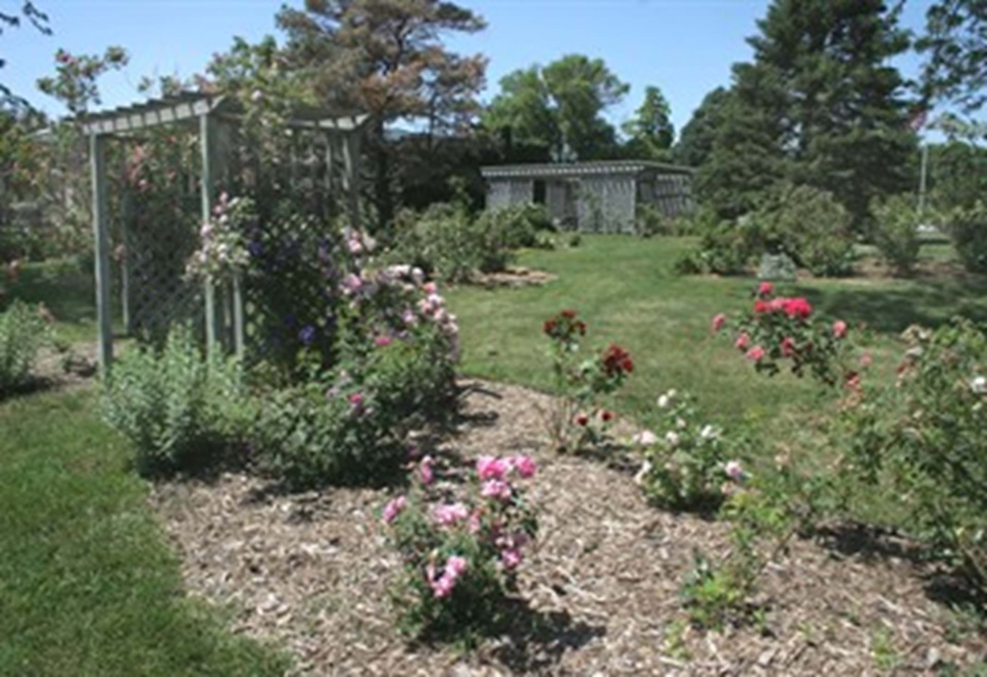 Heritage Rose Garden | Gray, Iowa | Travel Iowa