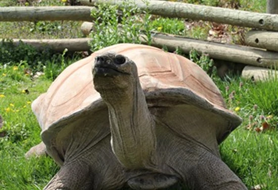 Blank Park Zoo | Des Moines, Iowa | Travel Iowa