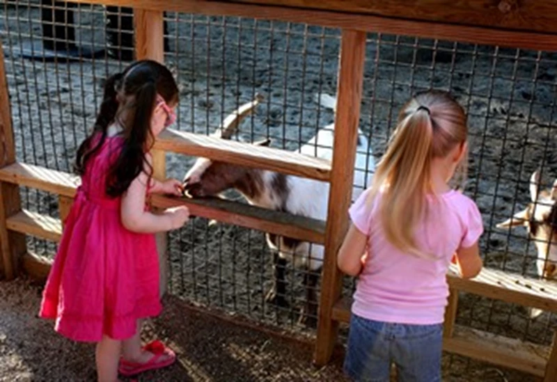 Blank Park Zoo | Des Moines, Iowa | Travel Iowa