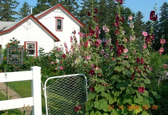 Hawkeye Buffalo & Cattle Ranch | Fredericksburg, Iowa | Travel Iowa