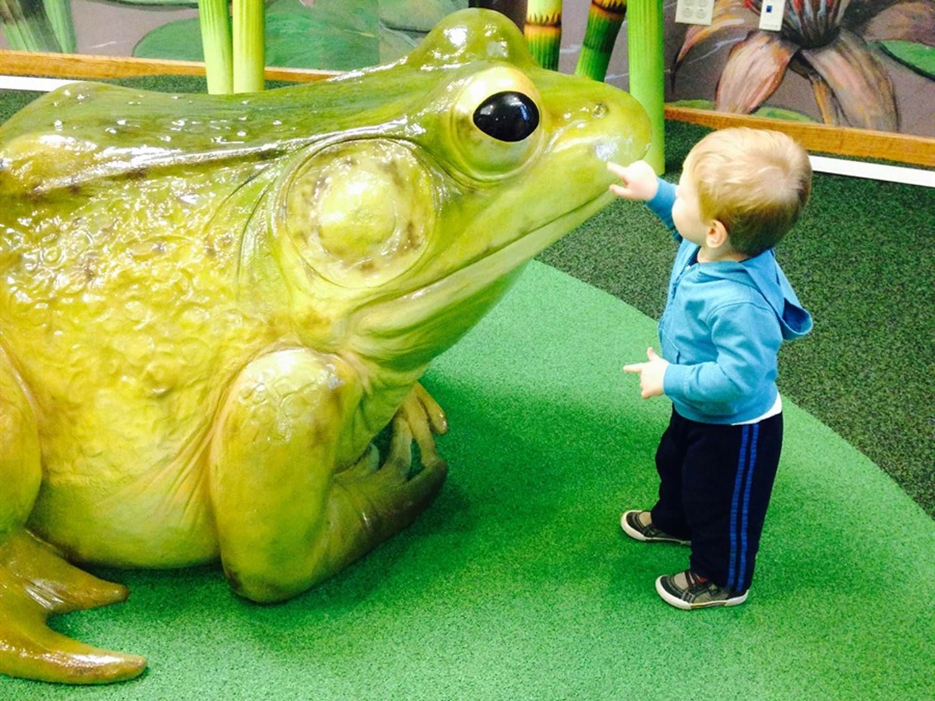 Wickiup Hill Learning Center | Toddville, Iowa | Travel Iowa