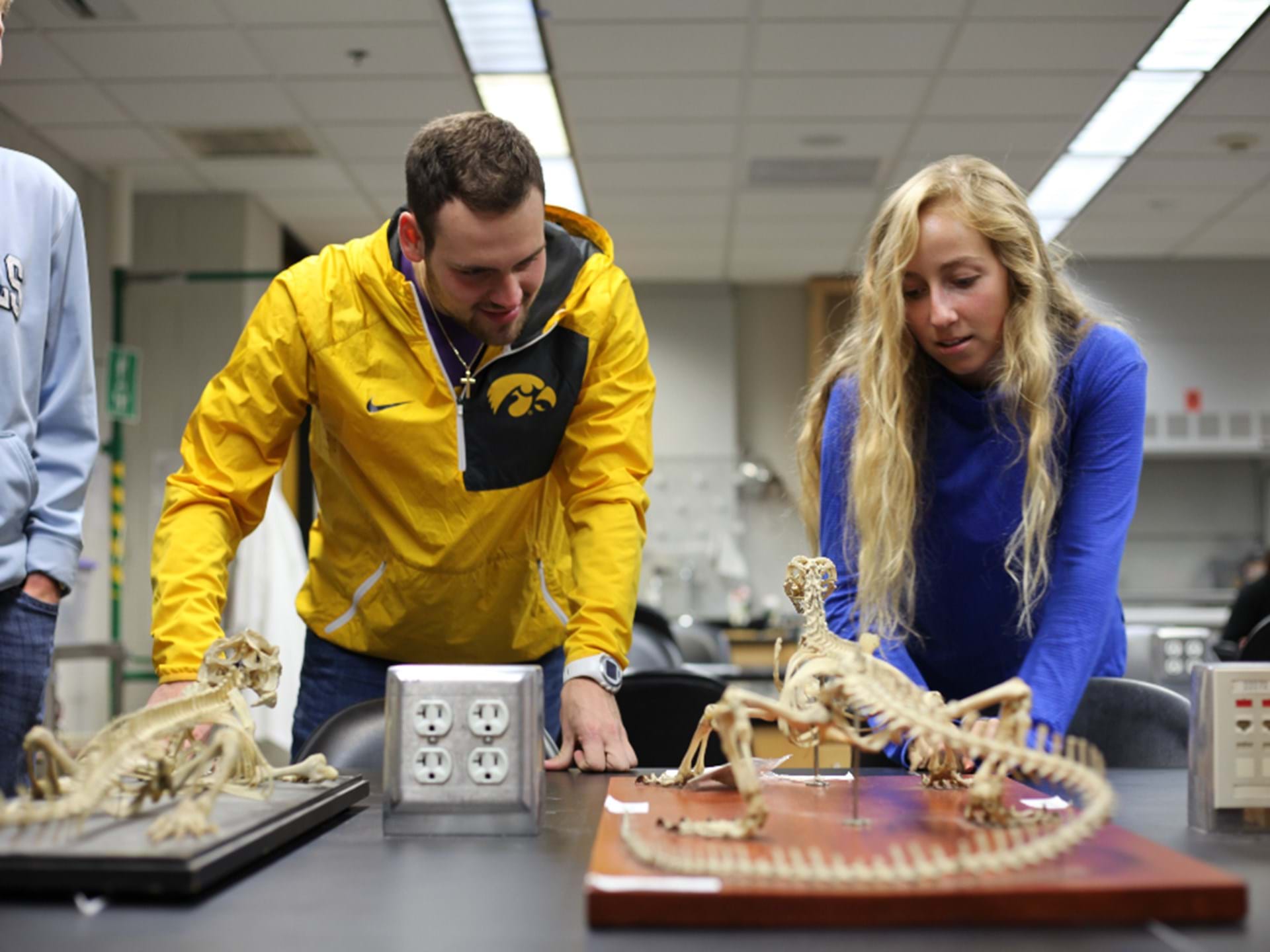 University of Iowa Museum of Natural History | Iowa City, Iowa | Travel ...