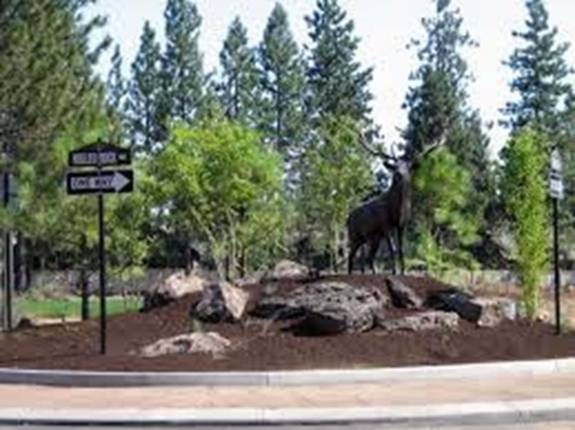 Wildlife Lakes Elk Farm | West Burlington, Iowa | Travel Iowa