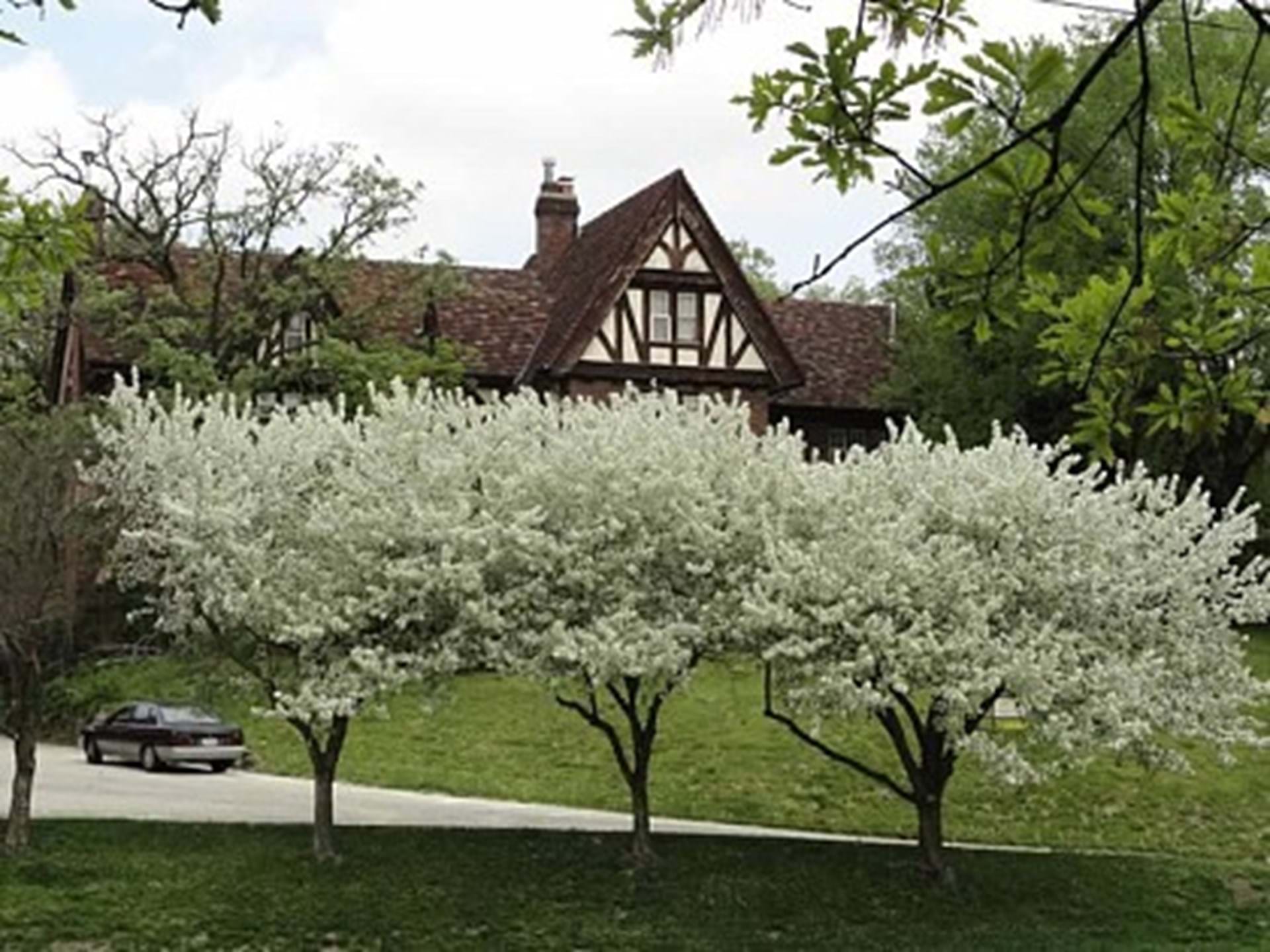 Butler House on Grand | Des Moines, Iowa | Travel Iowa