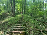 Pinicon Ridge Park | Central City, Iowa | Travel Iowa
