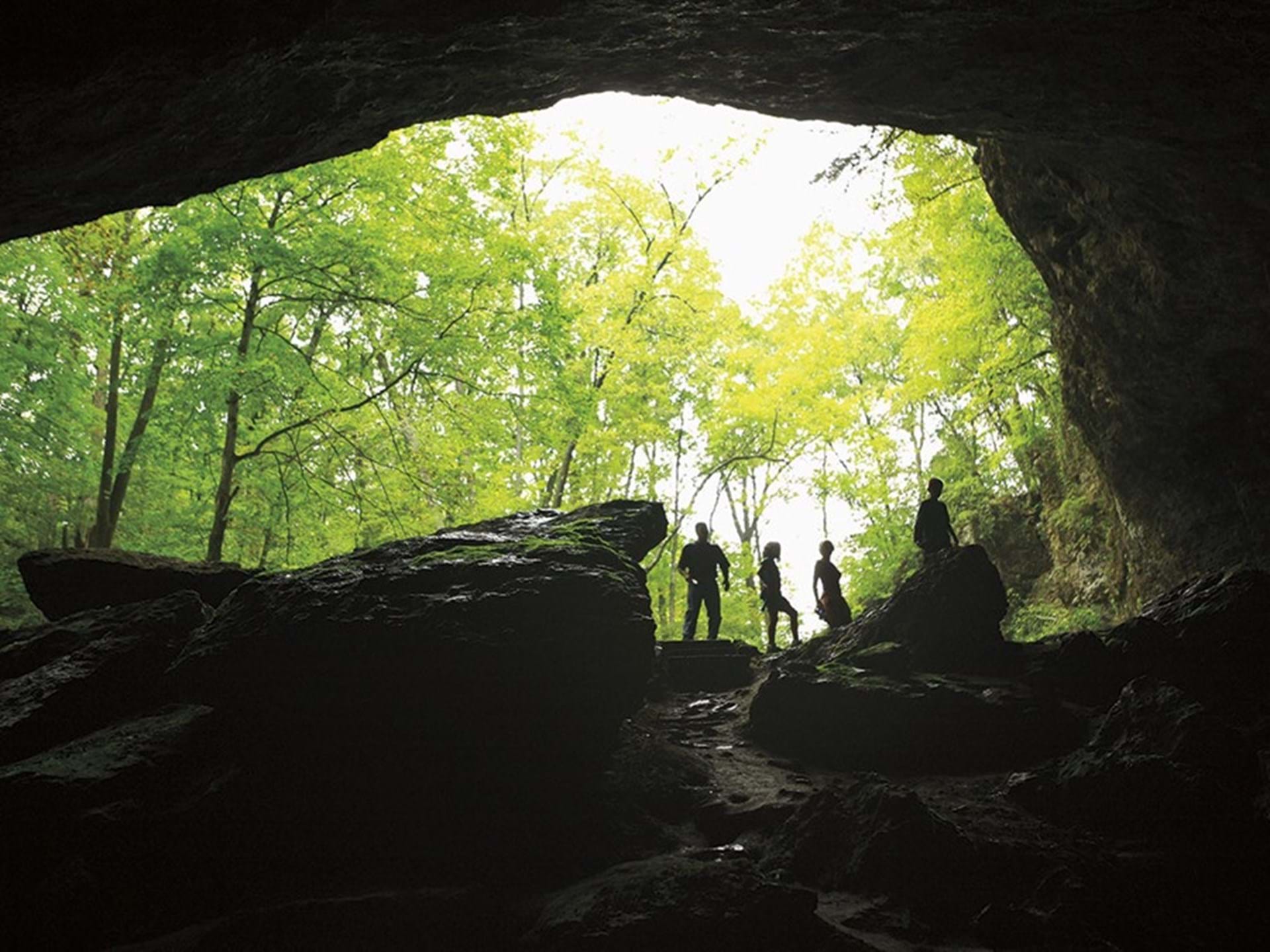 Maquoketa Caves State Park | Maquoketa, Iowa | Travel Iowa
