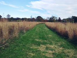 Big Hollow Recreation Area | Sperry, Iowa | Travel Iowa