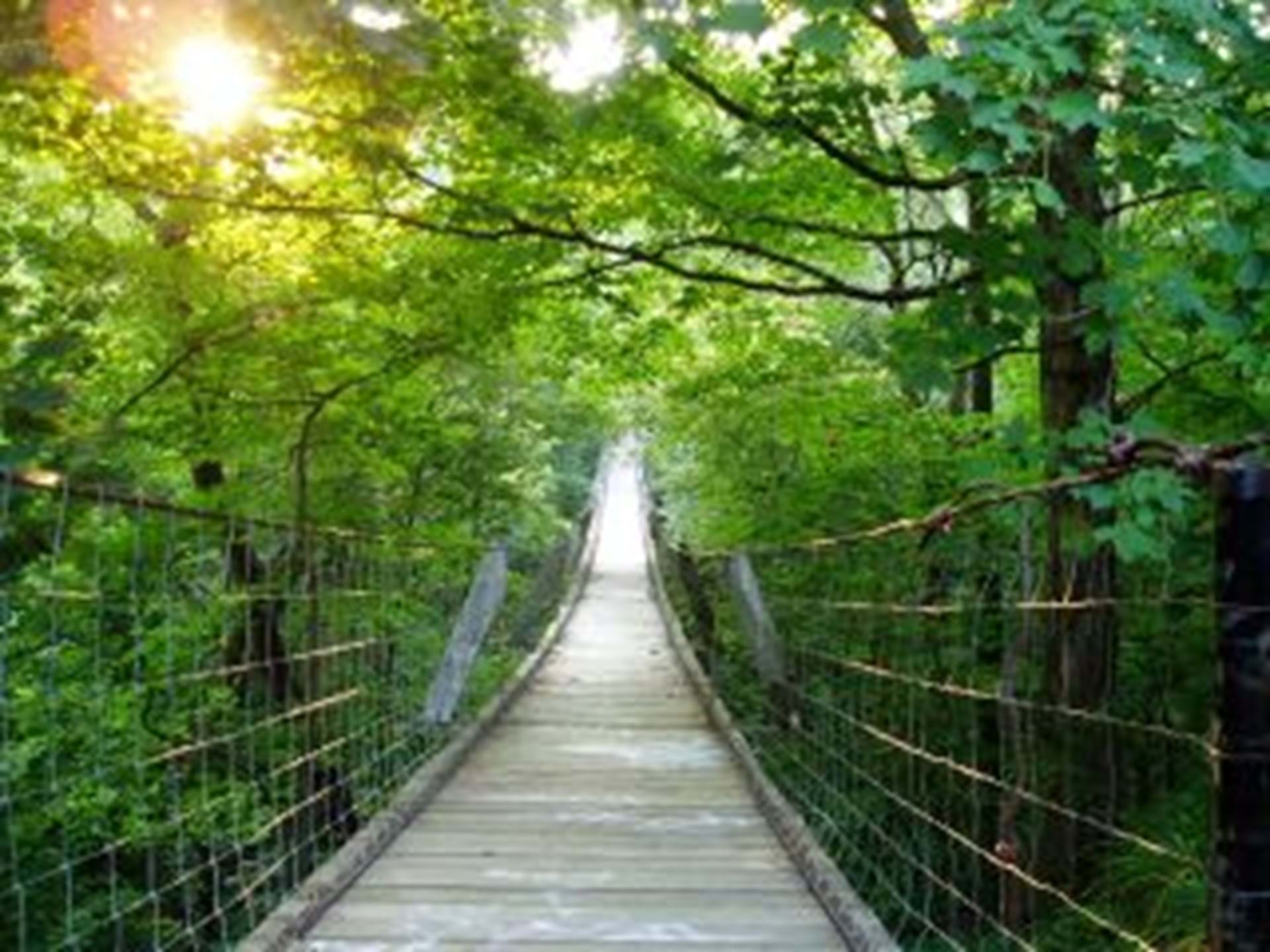 Swinging Bridge Park | Columbus Junction, Iowa | Travel Iowa