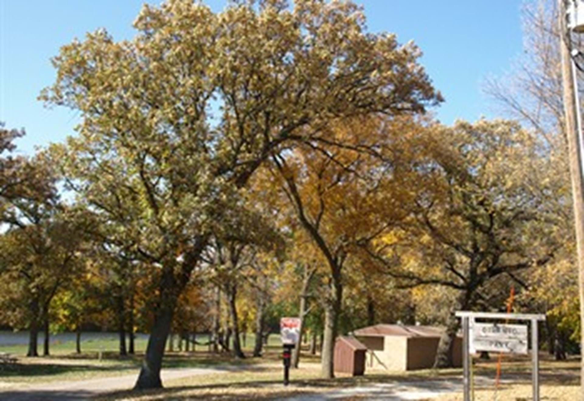 Otranto Park | Saint Ansgar, Iowa | Travel Iowa