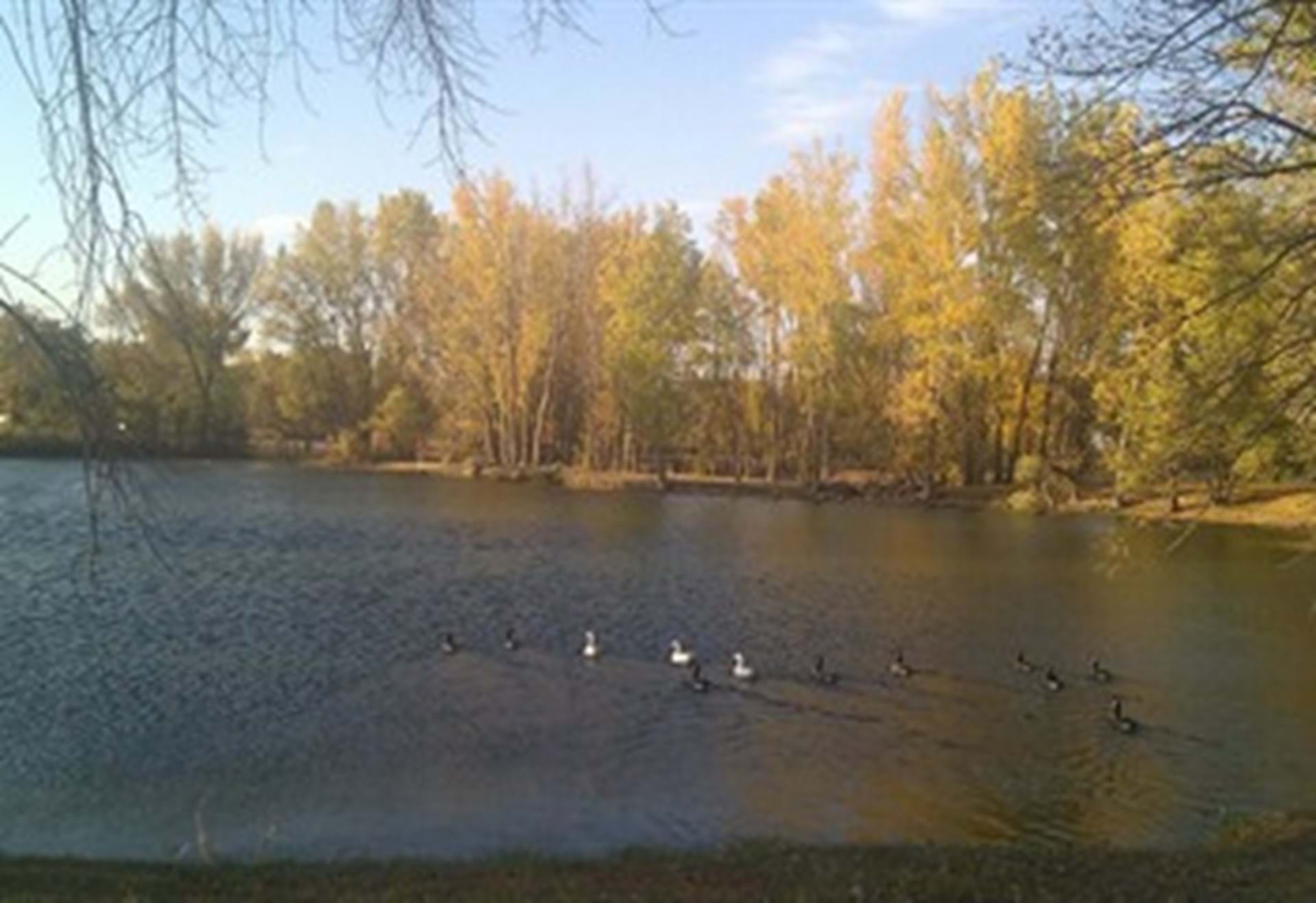 Straight Park Campgrounds | Fonda, Iowa | Travel Iowa