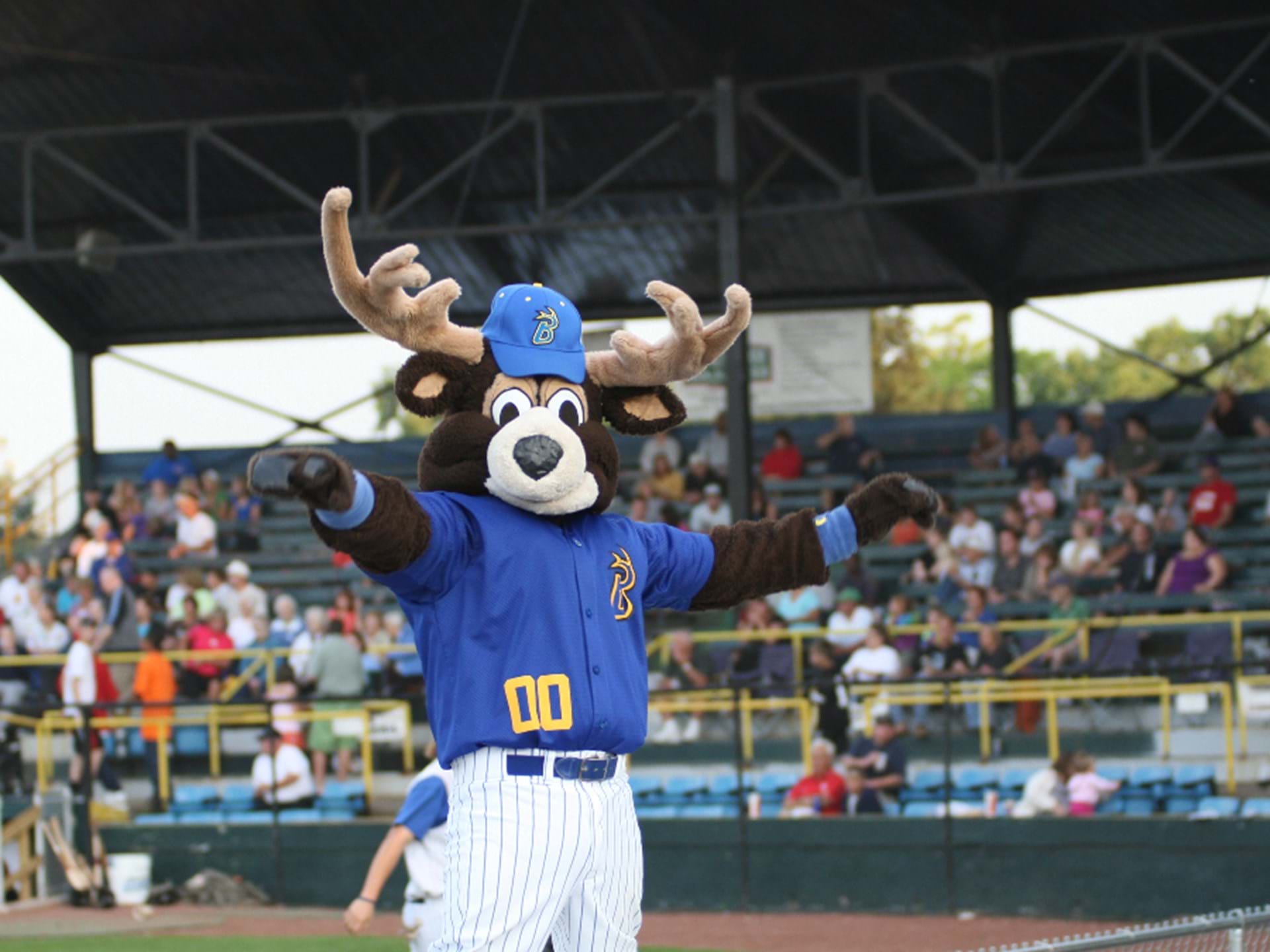 Waterloo Bucks Baseball | Waterloo, Iowa | Travel Iowa