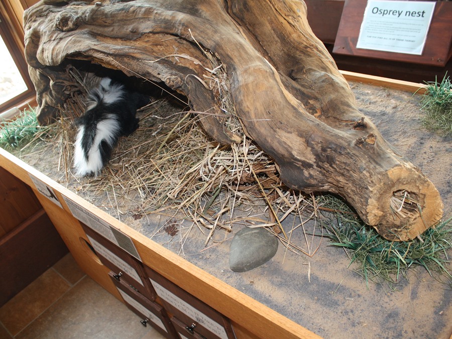 Dickinson County Nature Center | Okoboji, Iowa | Travel Iowa