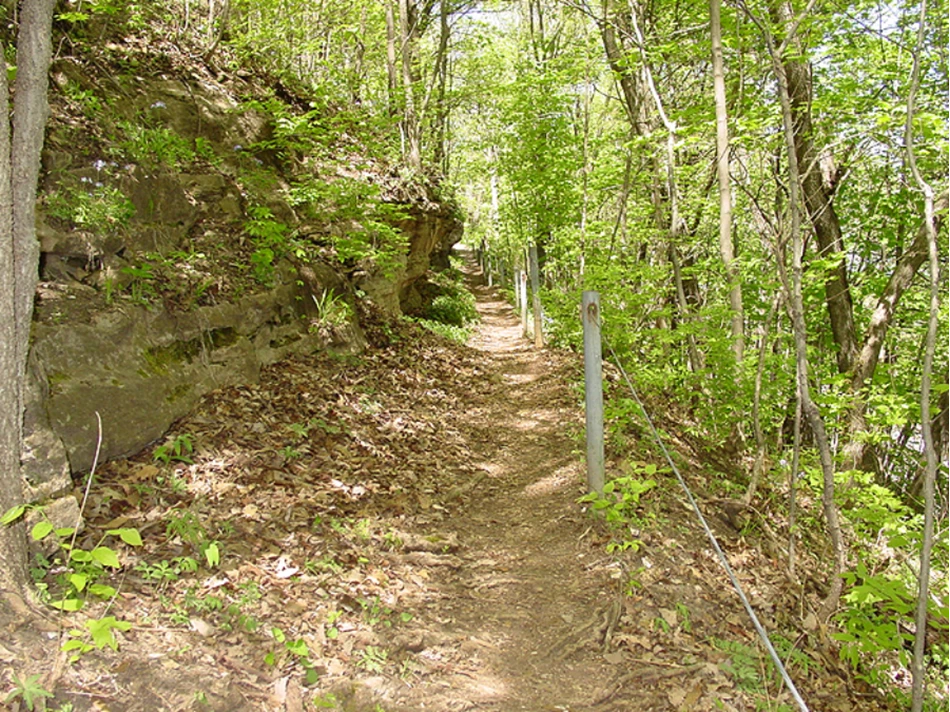 Crapo Park and Arboretum | Burlington, Iowa | Travel Iowa