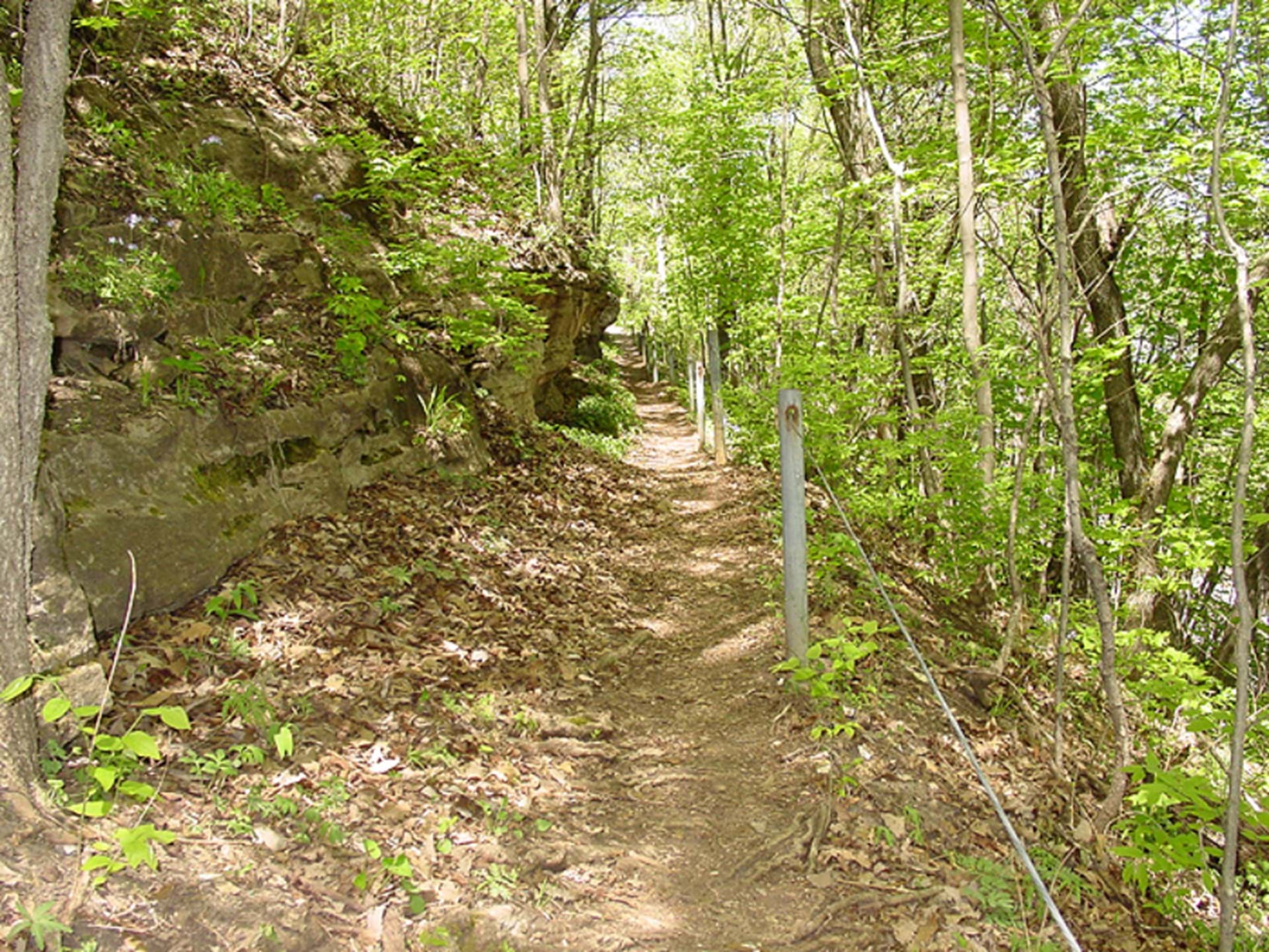 Crapo Park and Arboretum | Burlington, Iowa | Travel Iowa