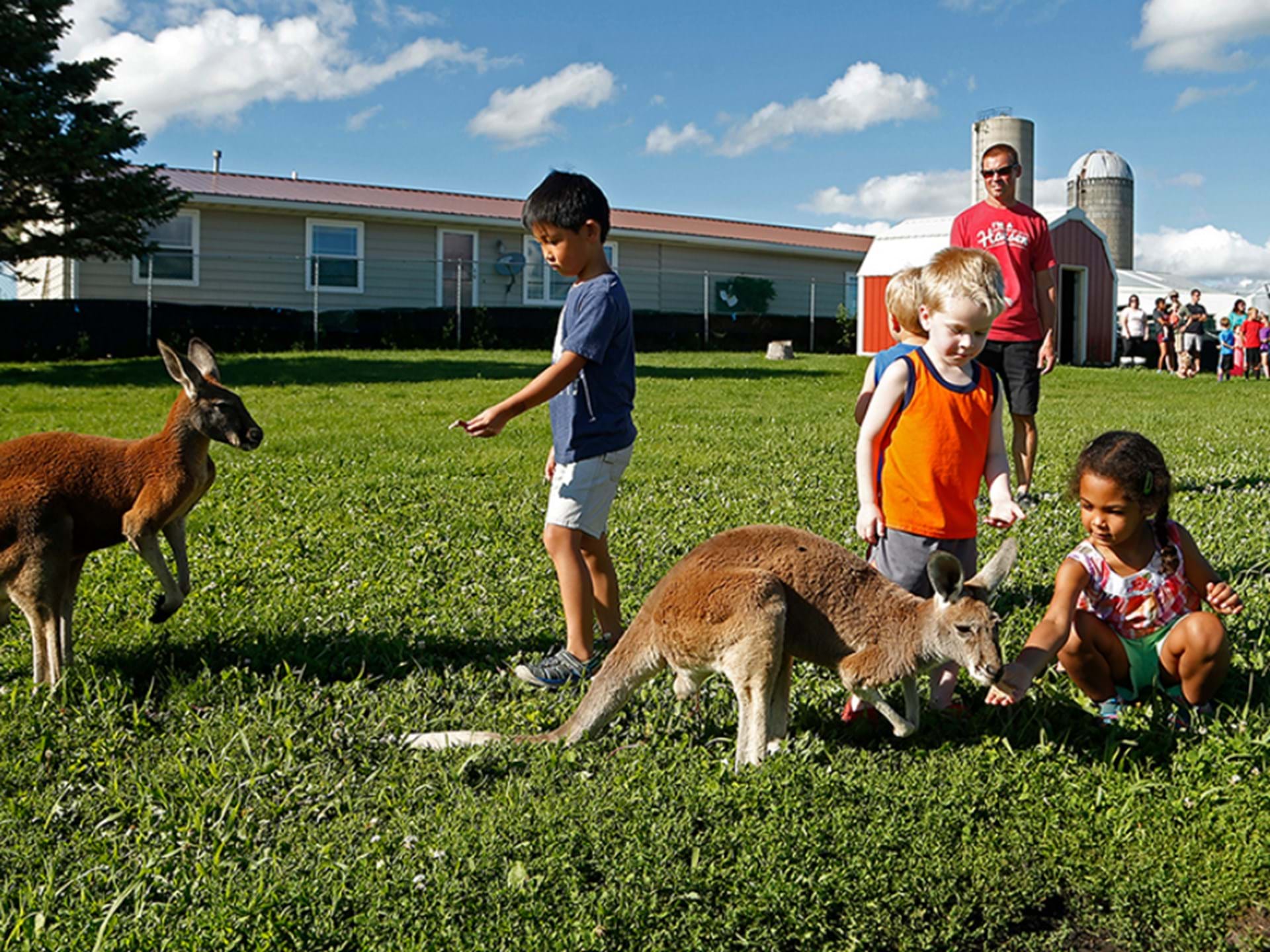 Hansen's Farm Fresh Dairy | Hudson, Iowa | Travel Iowa