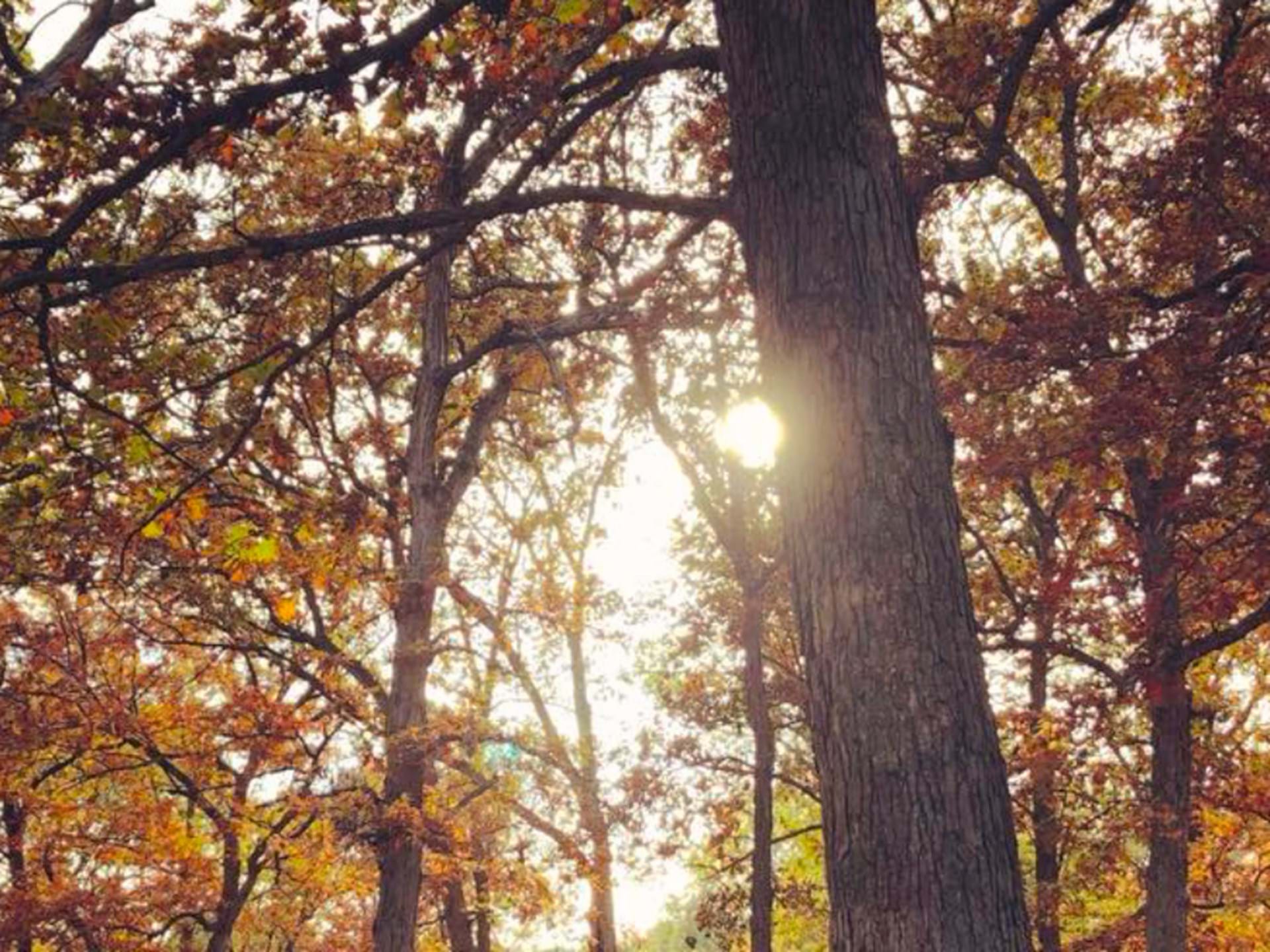 Sharon Bluffs State Park | Centerville, Iowa | Travel Iowa