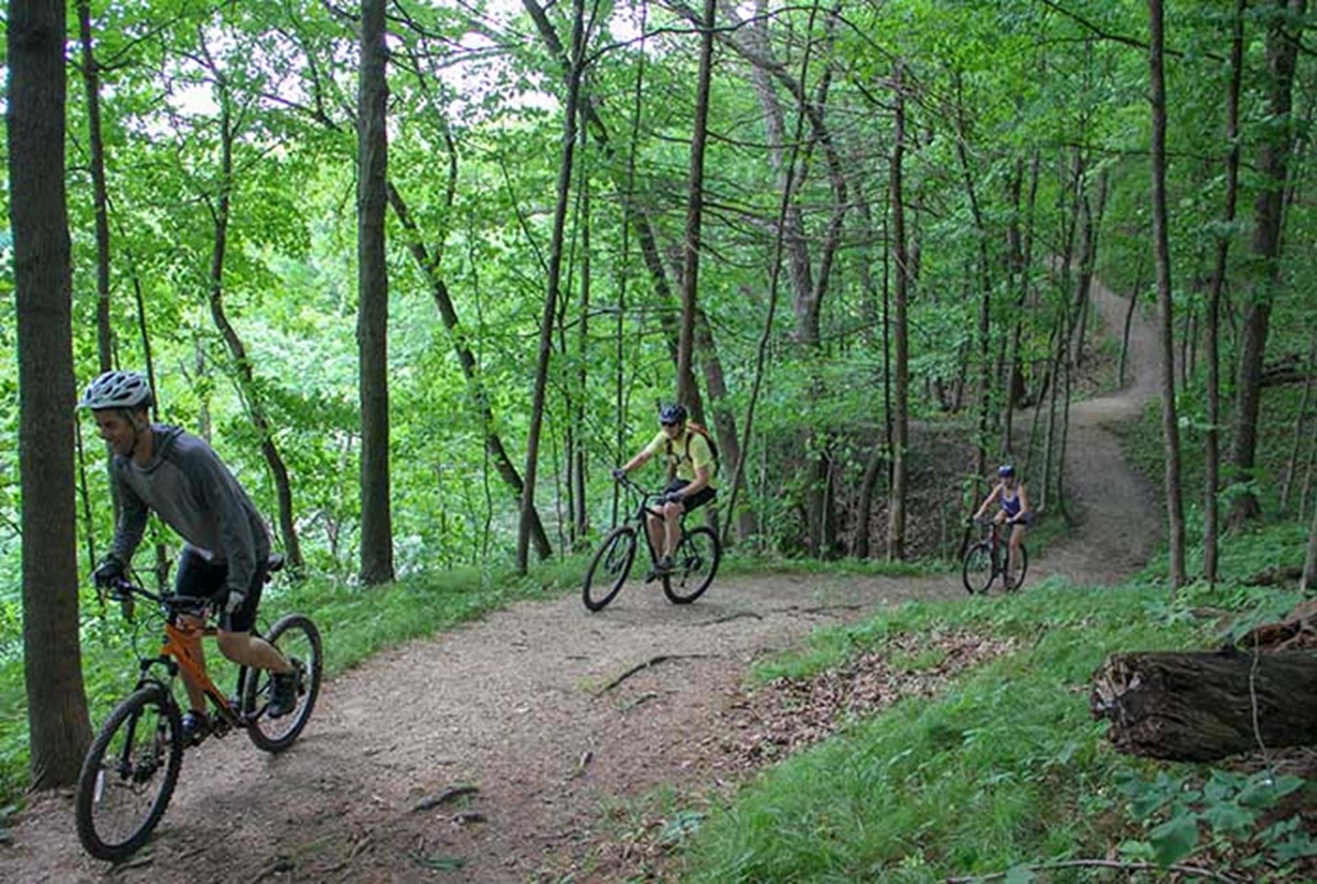 Backbone State Park | Dundee, Iowa | Travel Iowa