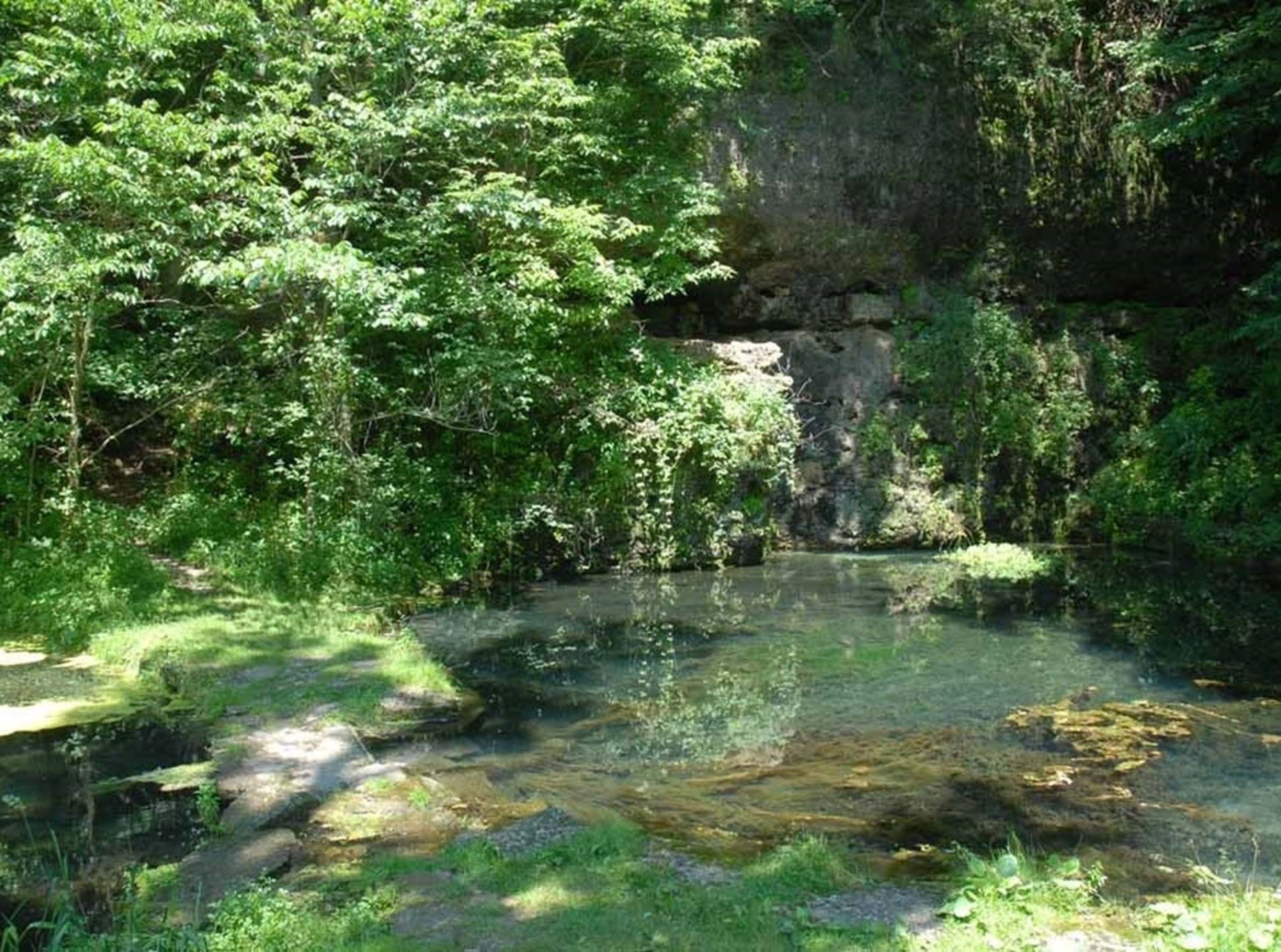 Backbone State Park | Dundee, Iowa | Travel Iowa