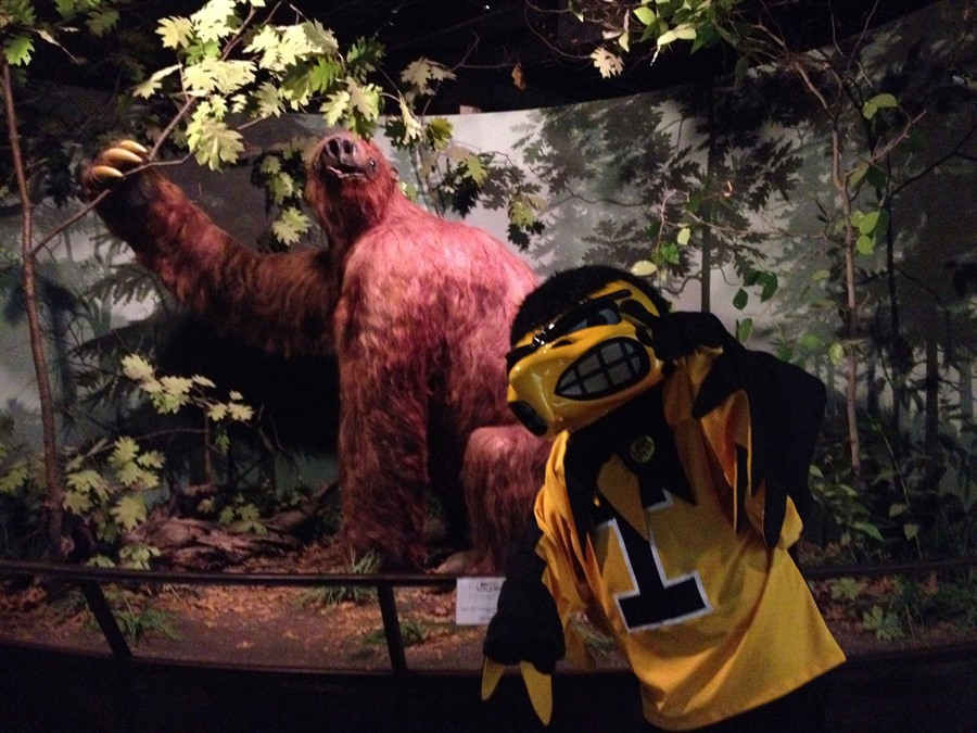 University of Iowa Museum of Natura | Iowa City, Iowa | Travel Iowa