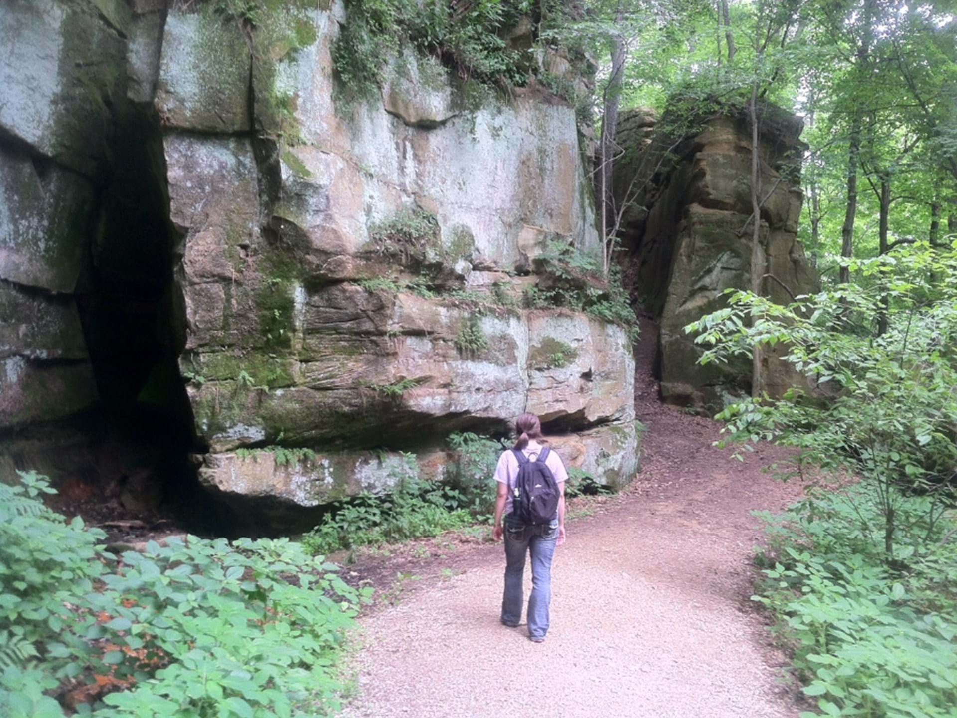 Wildcat Den State Park | Muscatine, Iowa | Travel Iowa